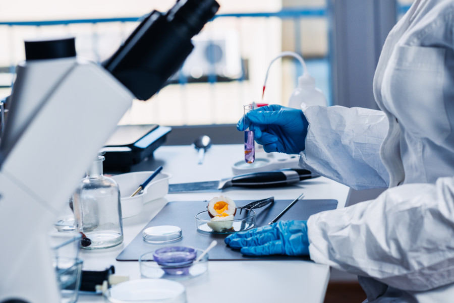 Update to Egg Allergen Testing at ALS Chatteris | ALS Testing